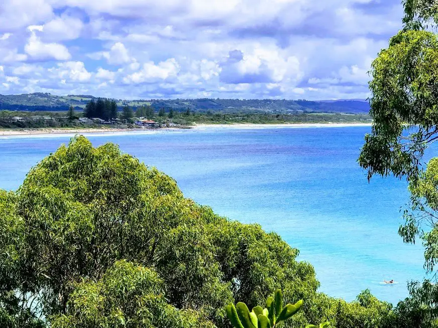 Amazing Wildlife in Byron Bay | Our Beautiful Planet